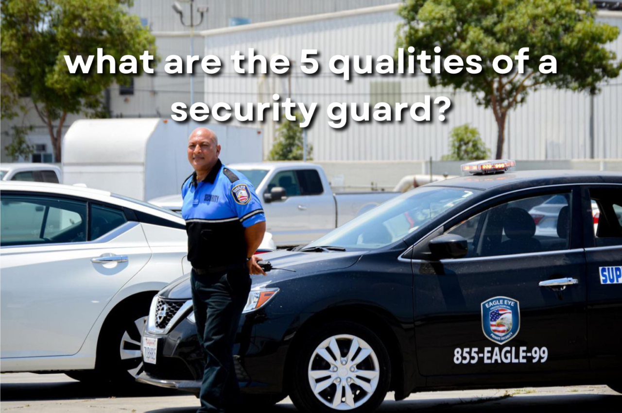 What Are the 5 Qualities of a Security Guard? | Key Attributes Explained